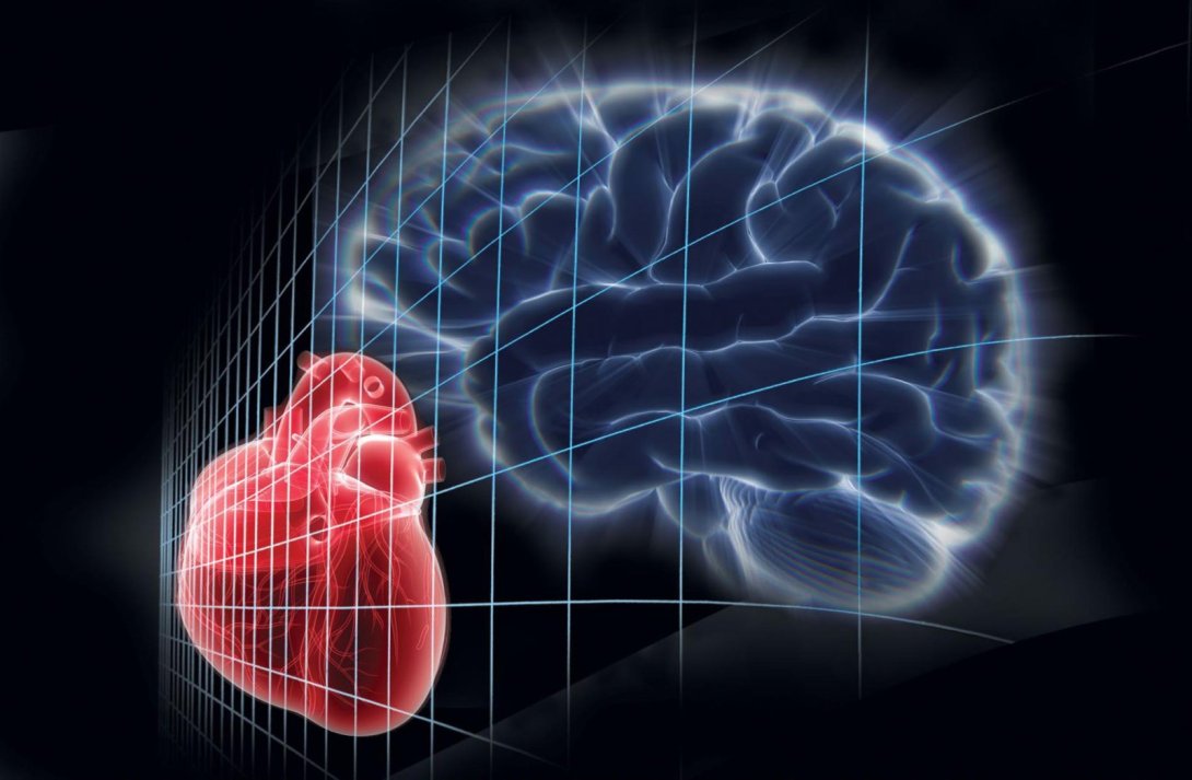 Cuba necesita razón y corazón